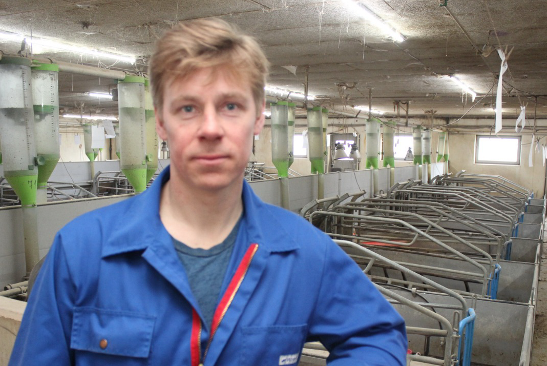 Svineformand ærgrer sig over kritik fra Dyrenes Beskyttelse ...