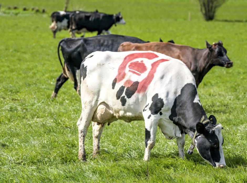 Ingen nye penge til økologi i finanslov: – Der er i forvejen et ...