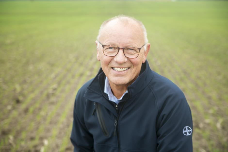 Ekspertråd: Sådan undgår du udbyttetab til septoria - LandbrugsAvisen