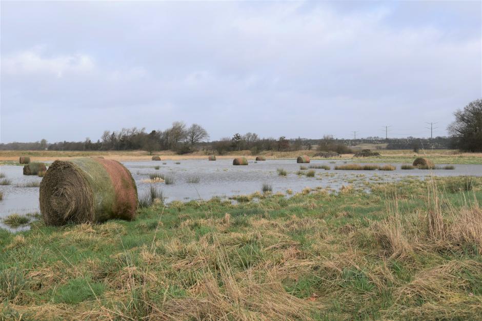 Regeringen: Danmark skal klimasikres bedre - LandbrugsAvisen
