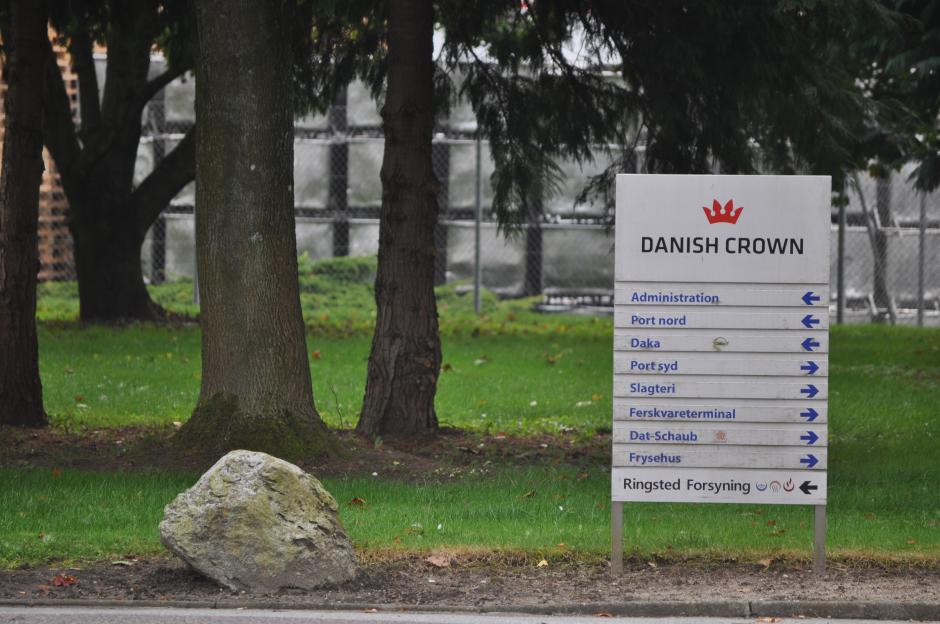 Danish Crown lukker slagteri i Ringsted - LandbrugsAvisen