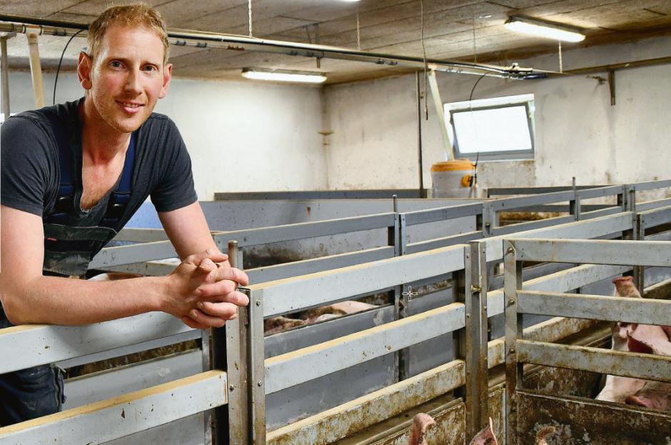 Se billederne: Griseproducent bygger lejede stalde om fra sohold til ...