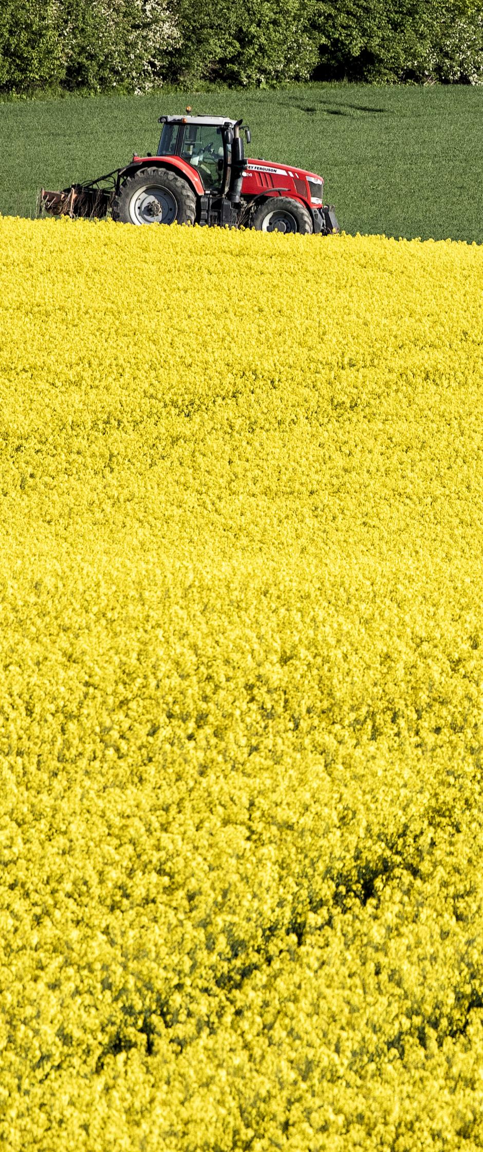 Dansk landbrug kan og vil - LandbrugsAvisen