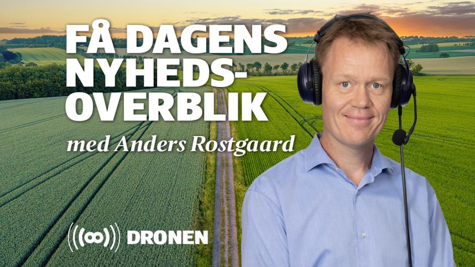 Arla-direktør: Mælkeprisen har nået bunden - LandbrugsAvisen