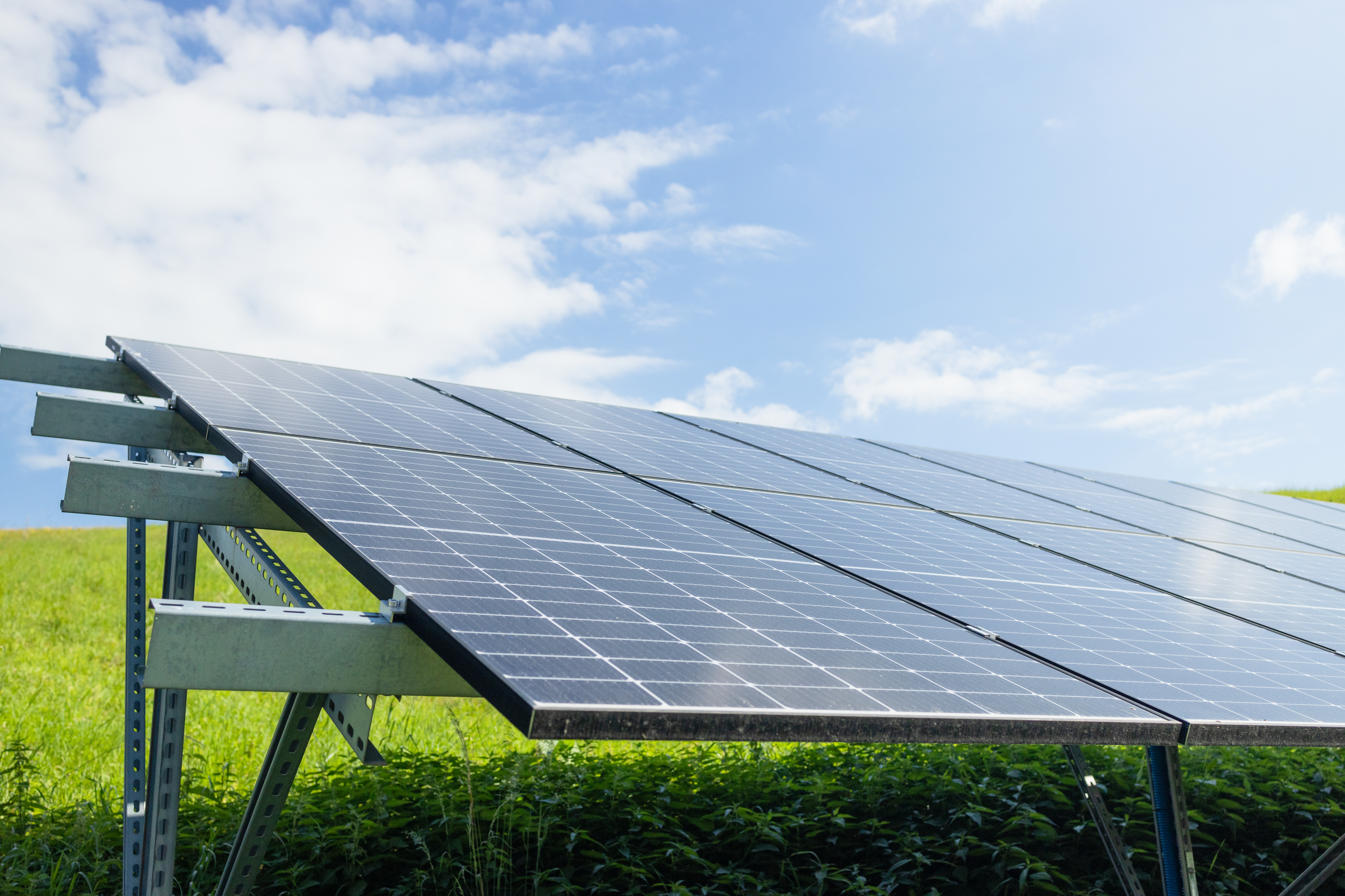 2.000 hektar med sol og vind kan være på vej til Lolland - LandbrugsAvisen