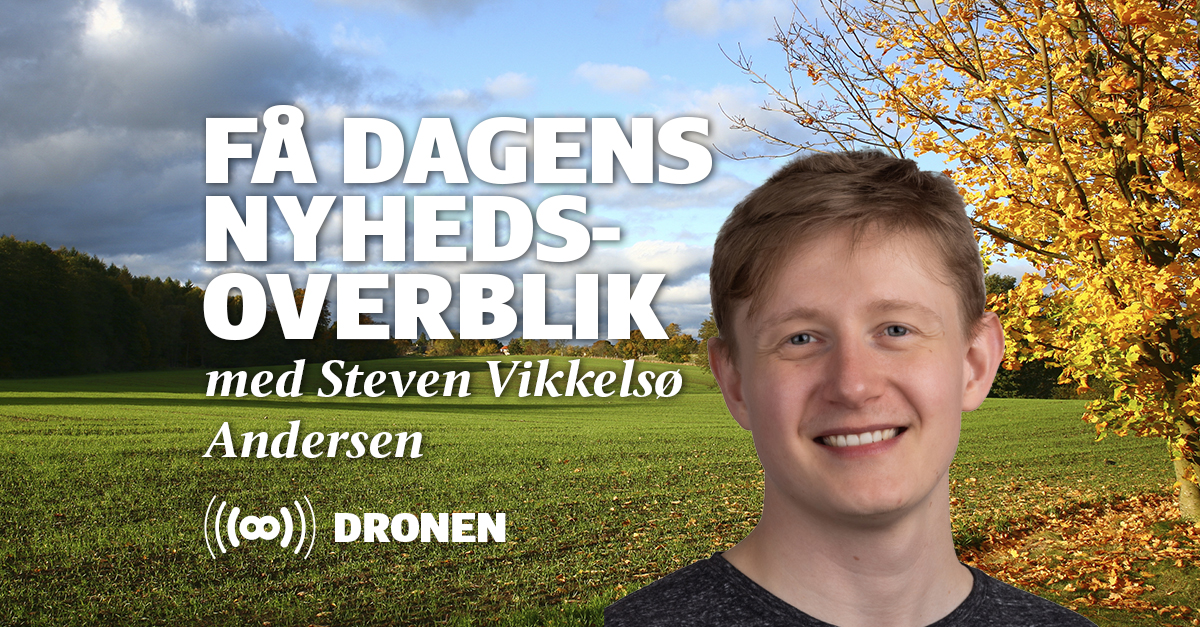 Den politiske drøm om 250.000 hektar ny skov ser foreløbig svær ud ...