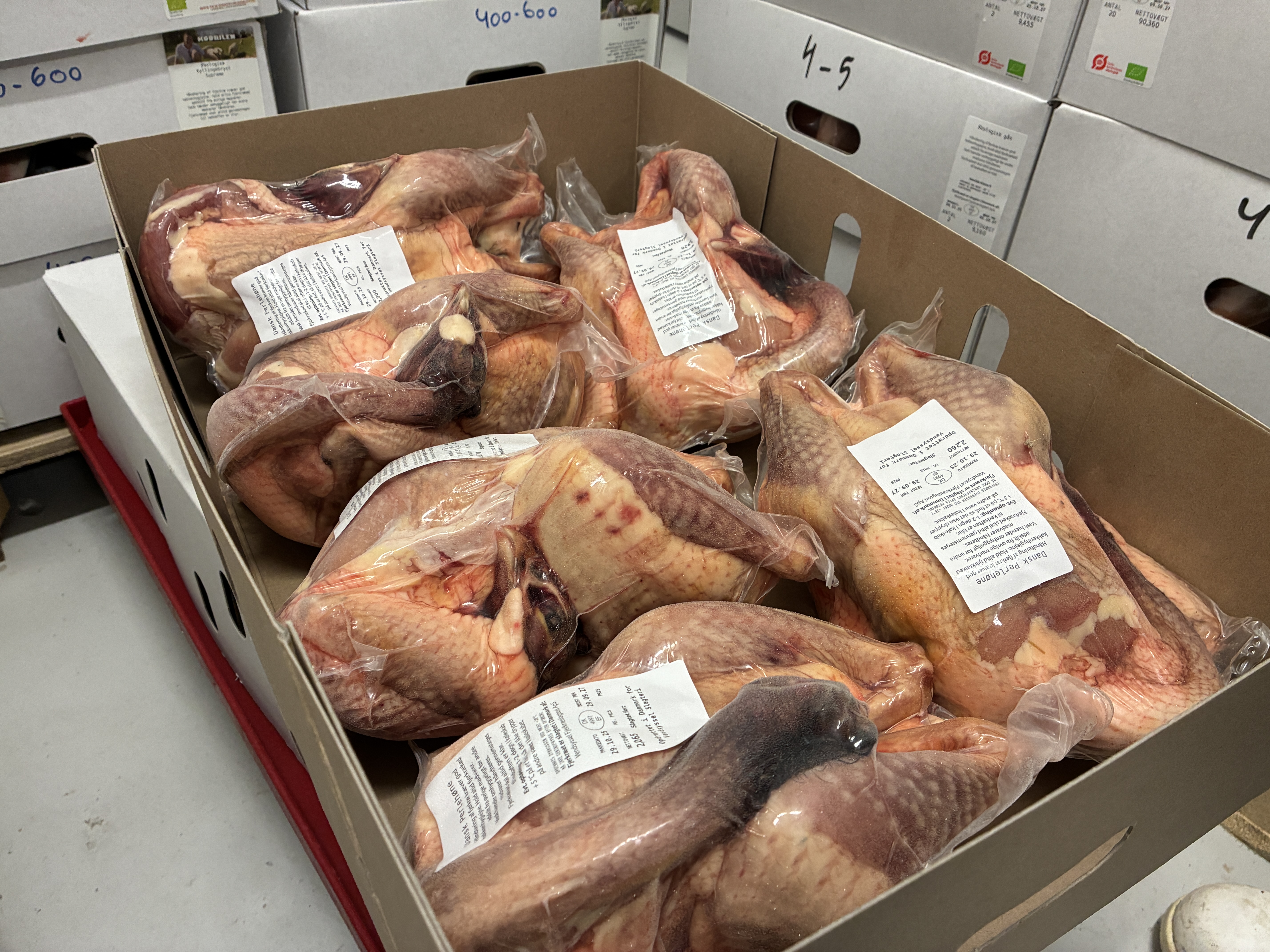 Fugleinfluenza: Hellere fem små end to store –slagteriet vil sprede ...