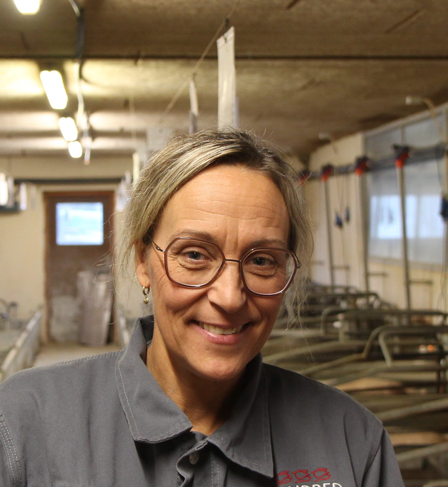 Afsætningen af råmælksproduktet Pigolo begynder at tage fart ...