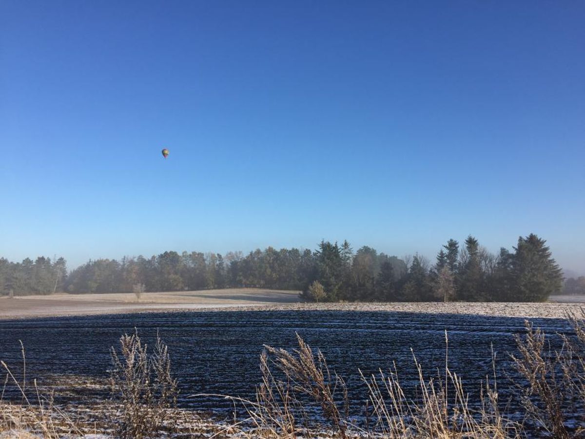 Nattefrost og sne rammer landet i weekenden - LandbrugsAvisen
