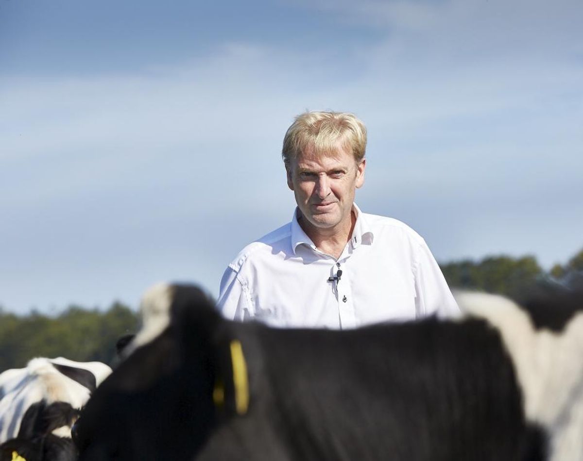 Laura er kørt i stilling: Skal overtage Gram Slot - LandbrugsAvisen