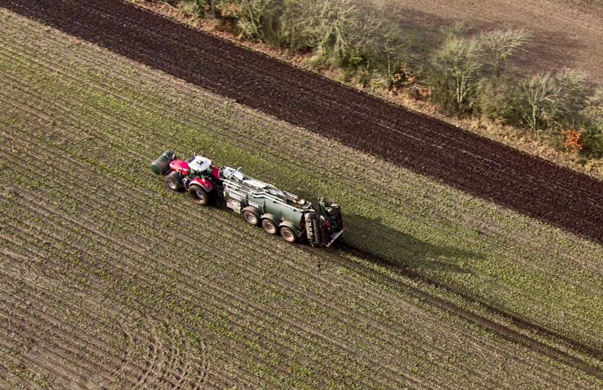 Styrelse kræver kalk i mink-gylle – L&F undrer sig - LandbrugsAvisen