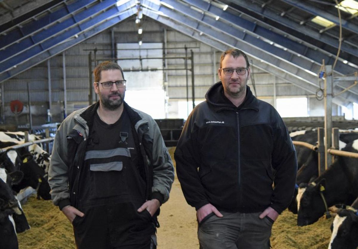 Investor overtager fuldt ejerskab af stort kvægbrug ved Varde fra ...