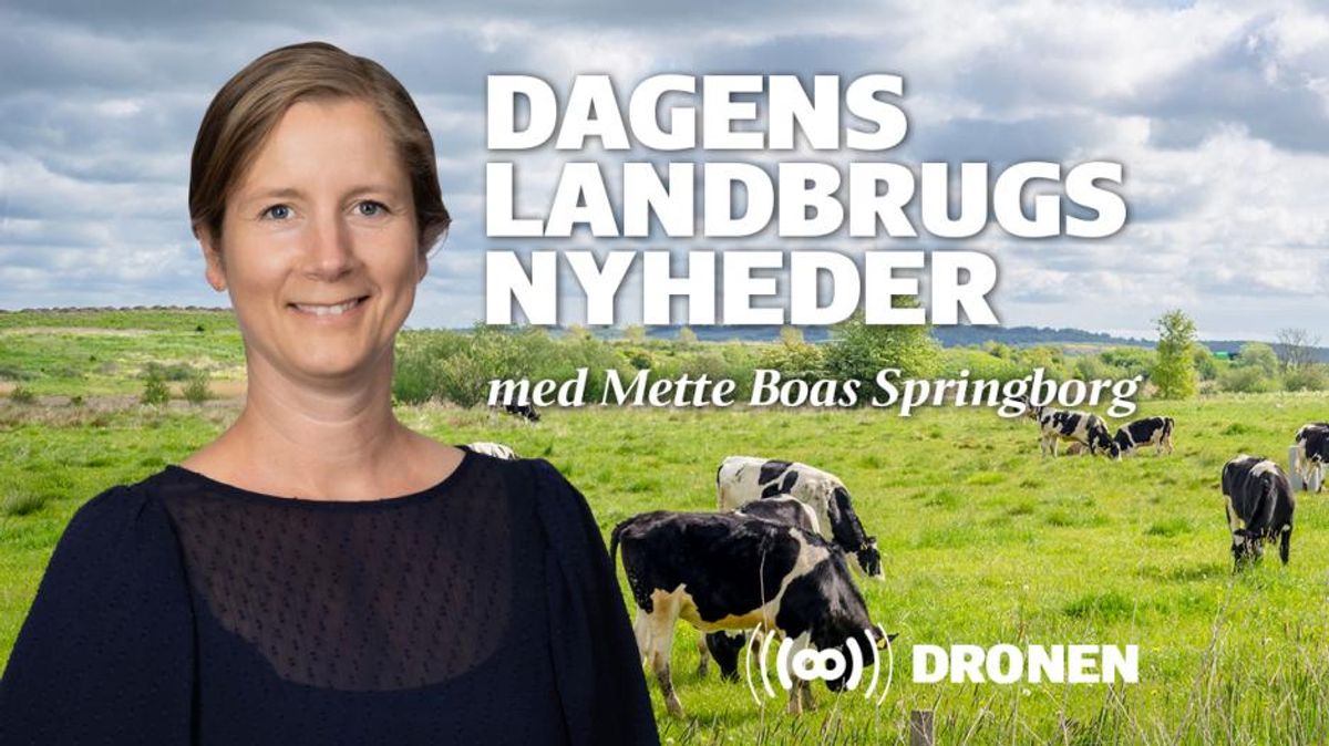 Landbrug & Fødevarer er klar med “Den helt store juridiske hammer ...