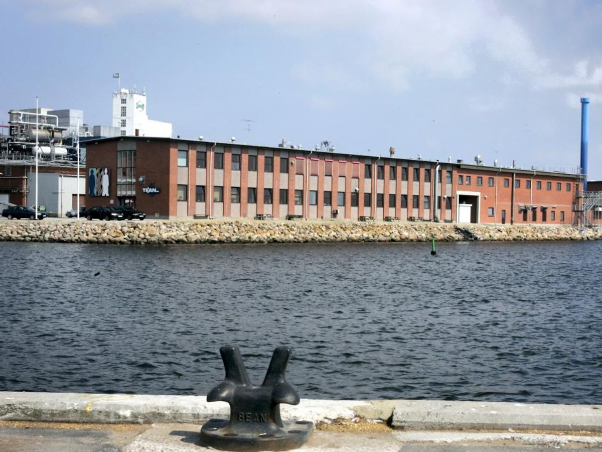 Tican-direktør om Dangris og Danepork-aftale: Det har været sund ...