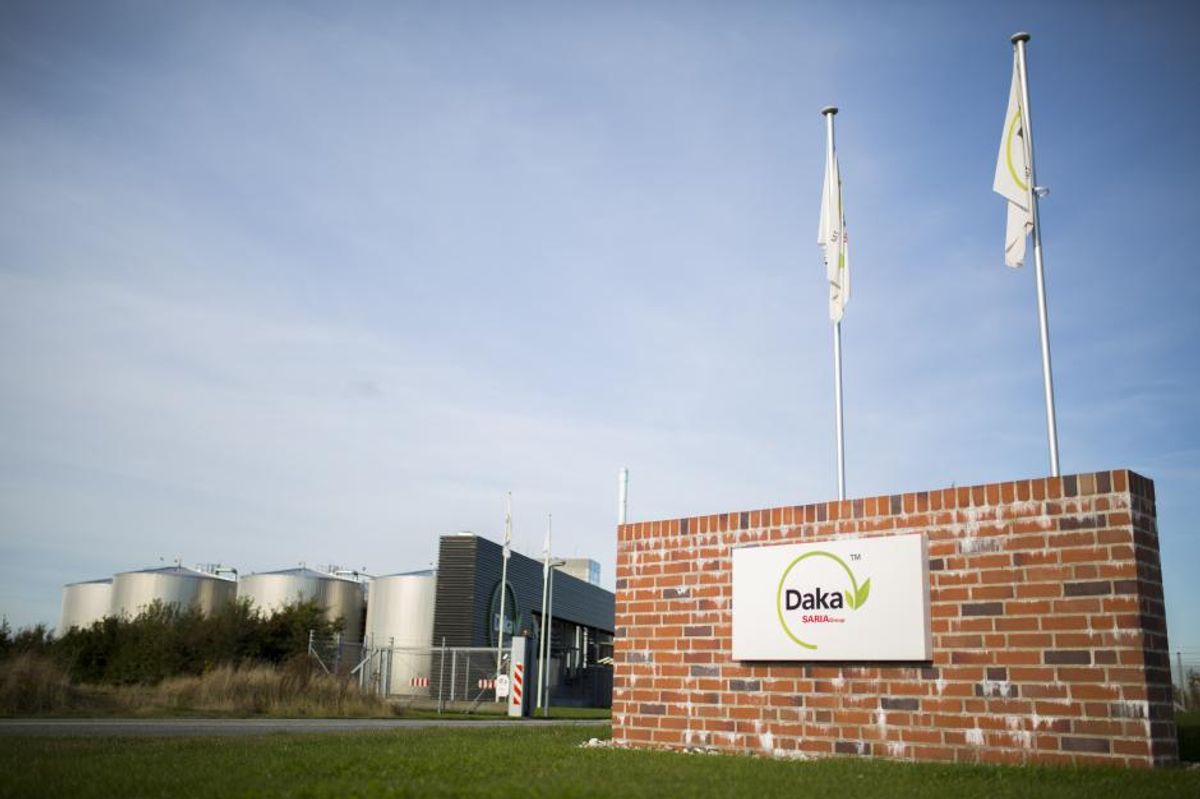 Stabile leverancer sikrer Daka fremgang i 2025 - LandbrugsAvisen