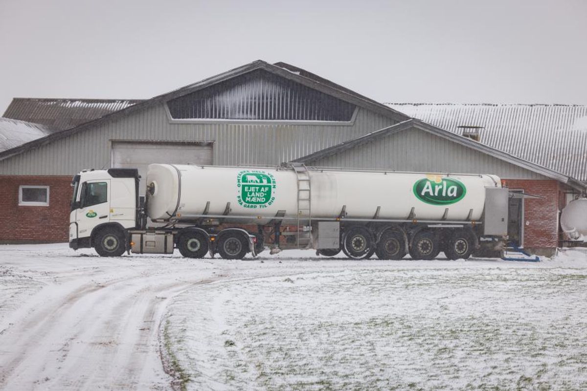 Pas på: Temperaturen kan føles som minus 16 grader i dag - LandbrugsAvisen