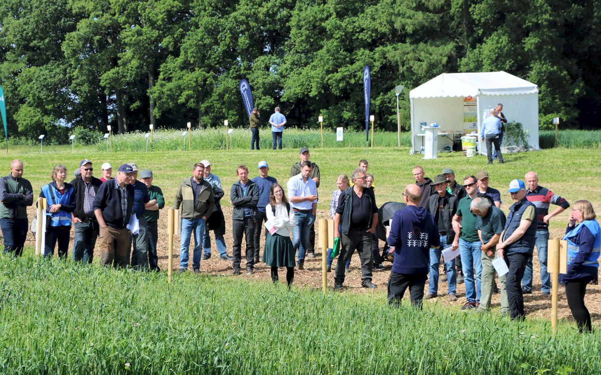 Øko-markdag 2024 er både for planteavlere og husdyrproducenter ...
