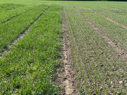 Sådan har I stemt: Flere er begyndt med at graduere N-tildeling – men ...