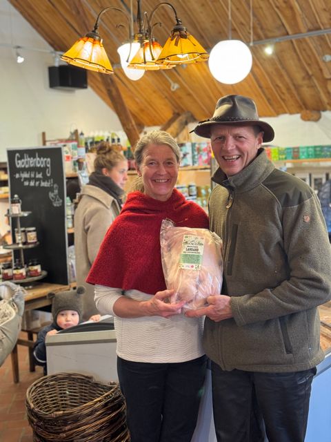 Sukkerroedyrkere har kurs mod rekordhøst – store roer og næsten ingen ...