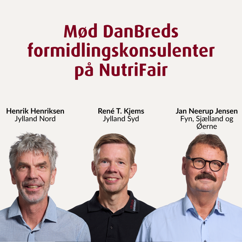 DanBred fortæller om kuldtilvækst på NutriFair - LandbrugsAvisen