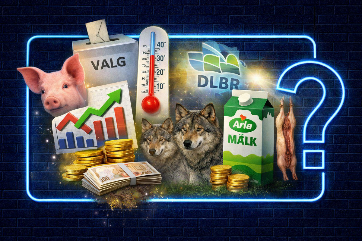 Tip en 13’er: Hvad sker der i landbruget i 2026? - LandbrugsAvisen