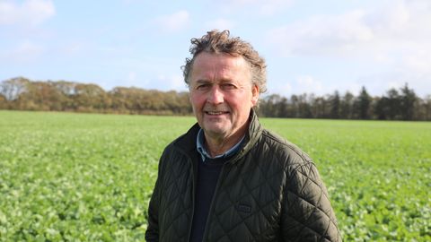 Friheden tiltrækker producenter: NV-DC har fundet nye grise til Danish ...