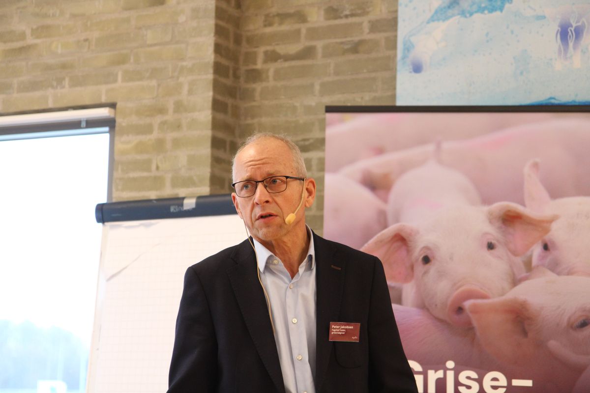 Griserådgiver peger på muligheder for at spare omkostninger – især på ...