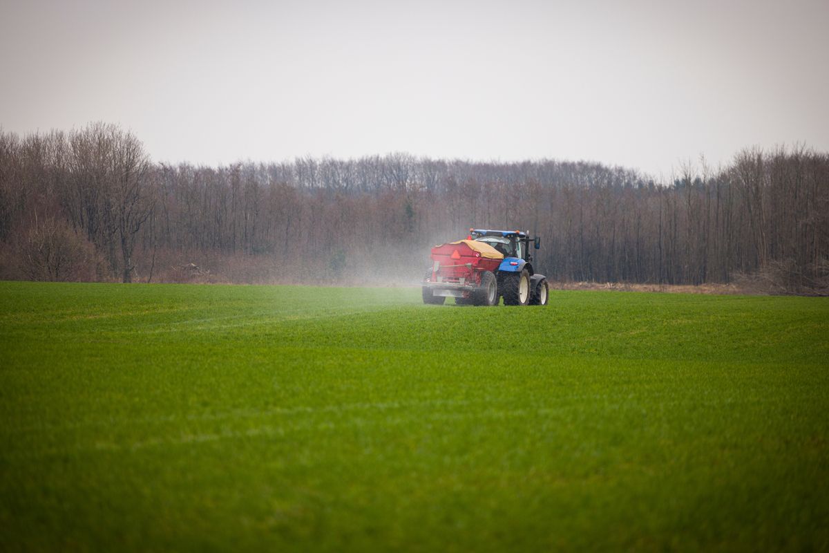 Ny kvælstofprognose: Landmænd med lerjord sparer gødning - LandbrugsAvisen