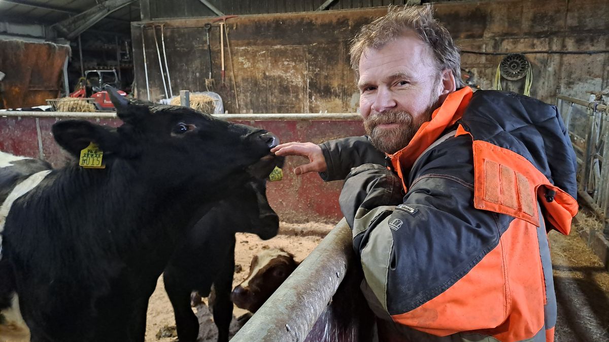 Færøsk valg: Landmænd efterlyser øget fokus på deres erhverv ...