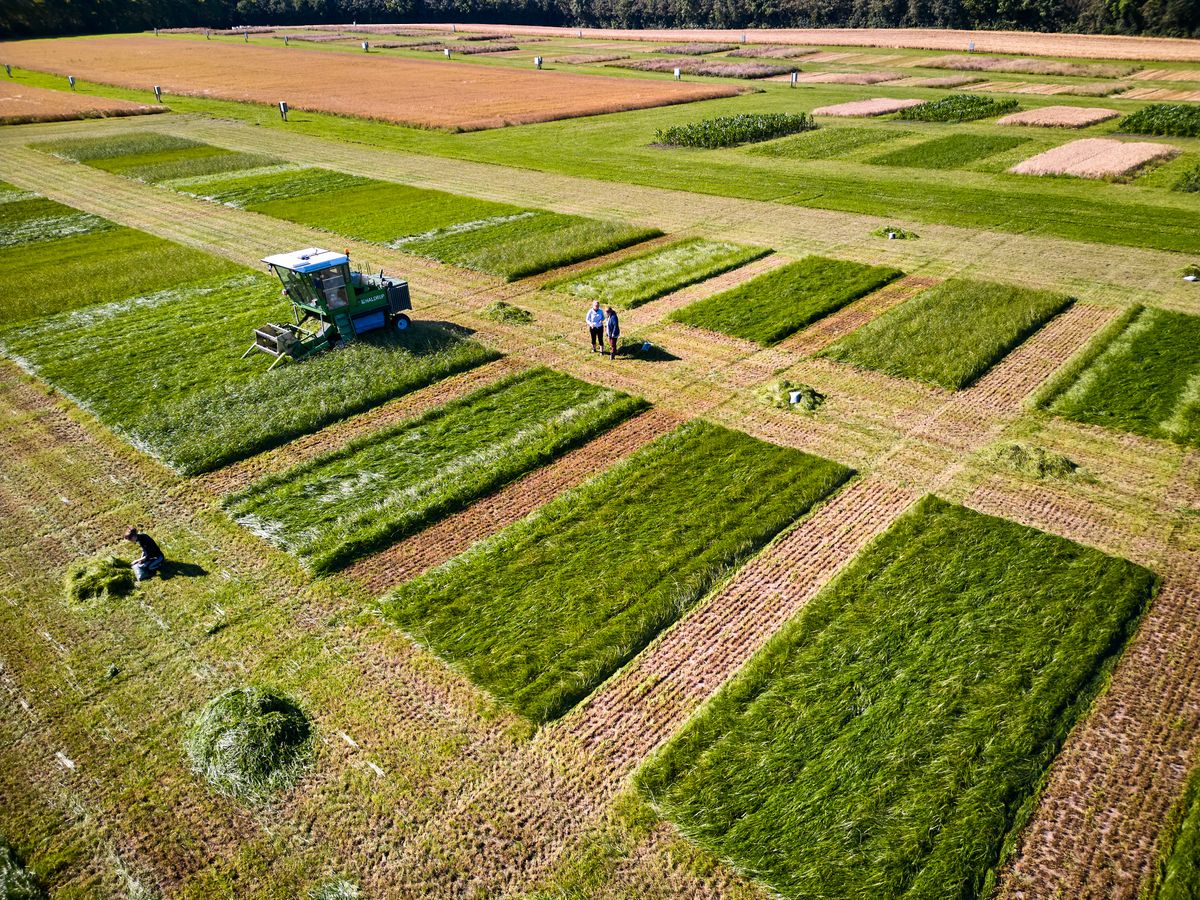 Realdania giver 4,2 millioner kroner til biobaserede byggematerialer ...