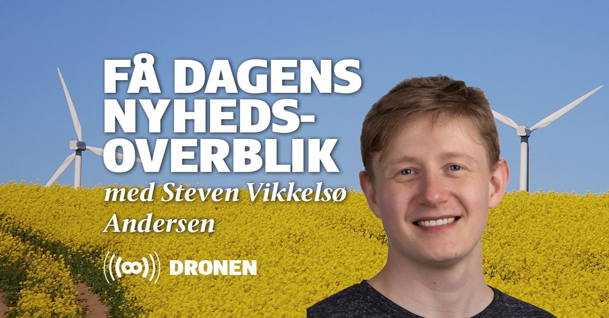 Landbruget vil have flere græssende dyr i naturen - LandbrugsAvisen